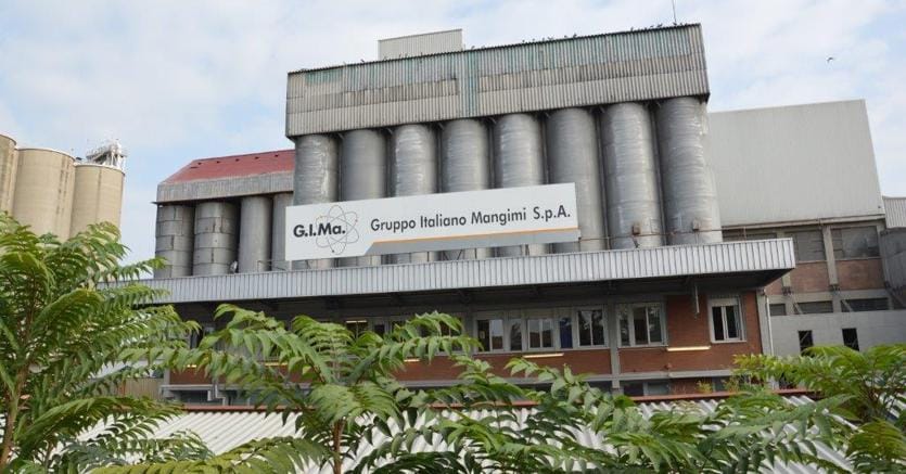 Dalla emiliana Gima un magime per evitare gli antibiotici con gli animali - Il Sole 24 ORE